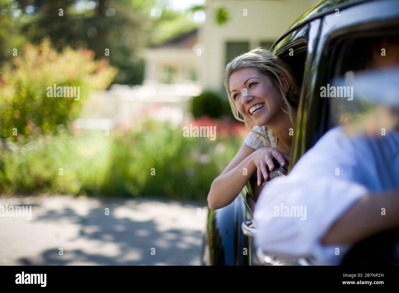 Young adult bride with her head out the window of a car on her wedding ...