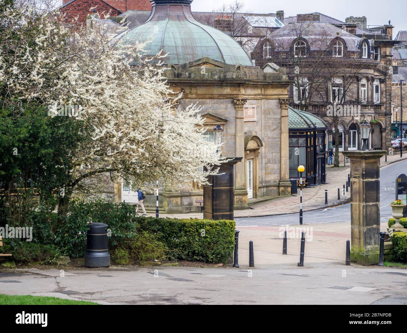 The Royal Pump Room Museum in spring from Valley Gardens Harrogate ...