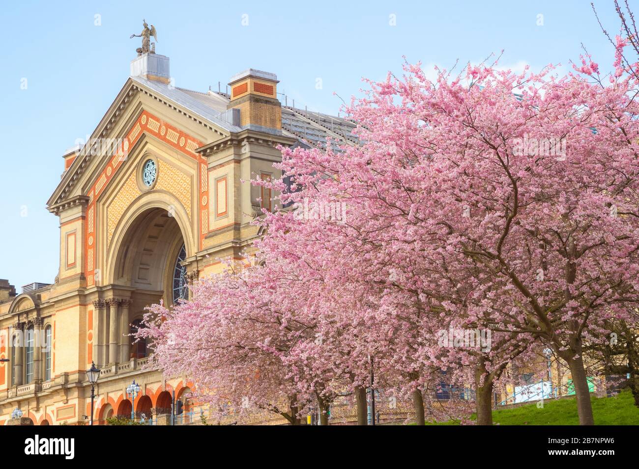 Springtime, Alexandra Palace with cherry blossoms in London, England ...