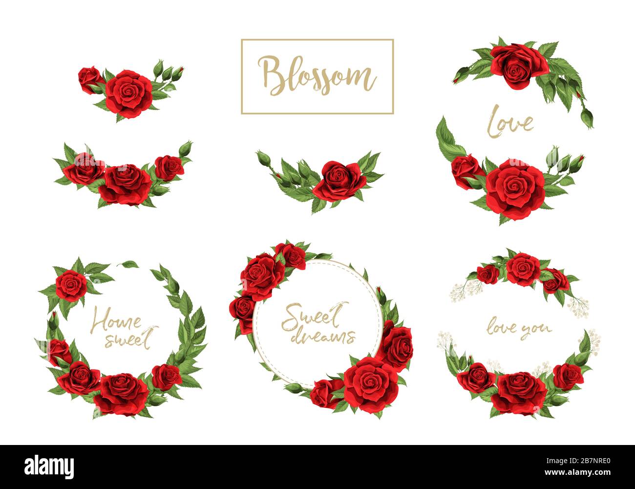 Red roses hand drawn illustration elements colored set isolated on ...