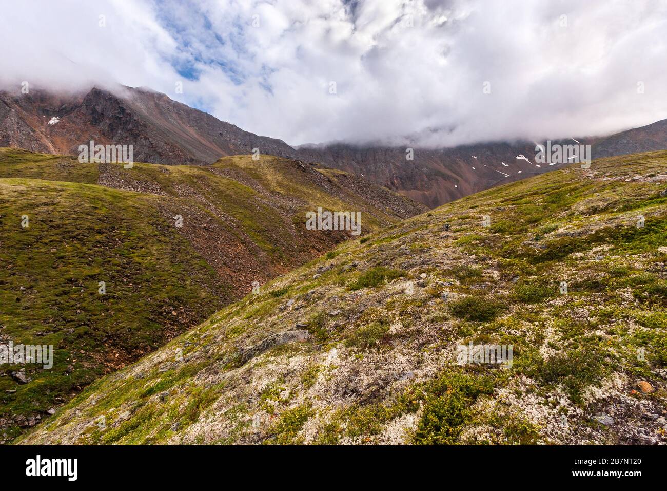 A green hillside with moss and grass and a rocky mountain range in the ...