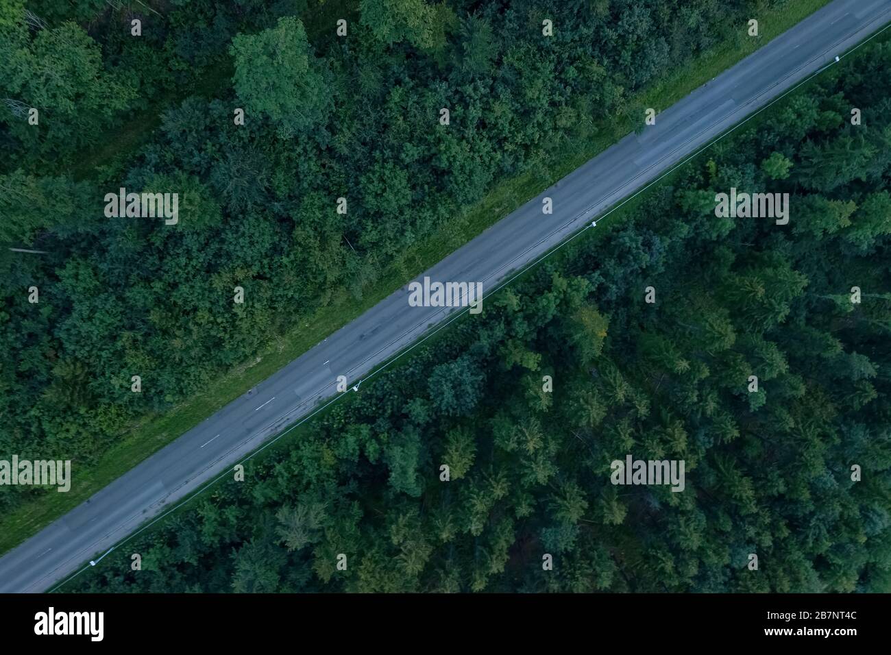 A street through a forest from top view, filmed by a drone, diagonal ...