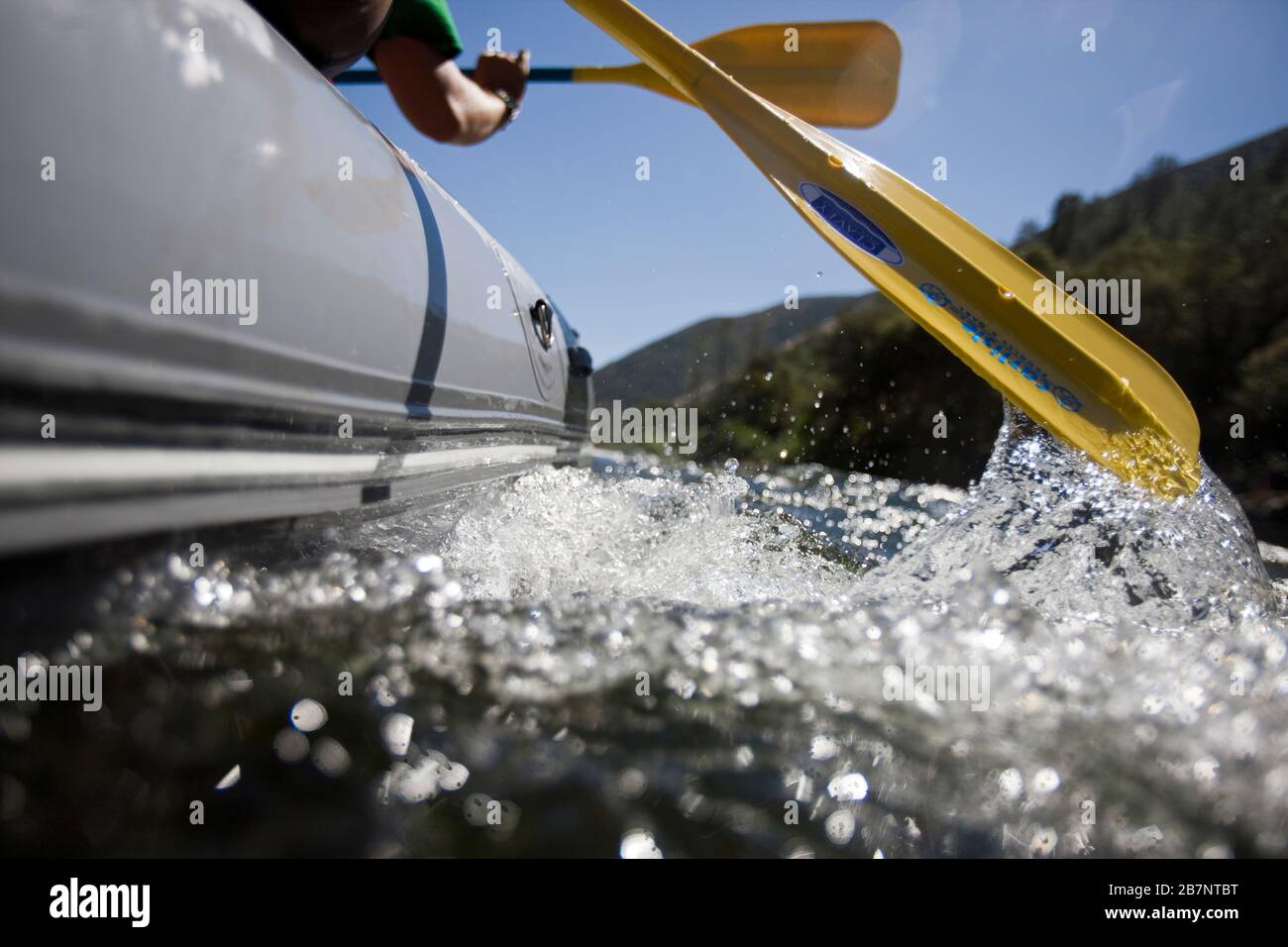 Splashing with their paddles hi-res stock photography and images - Alamy