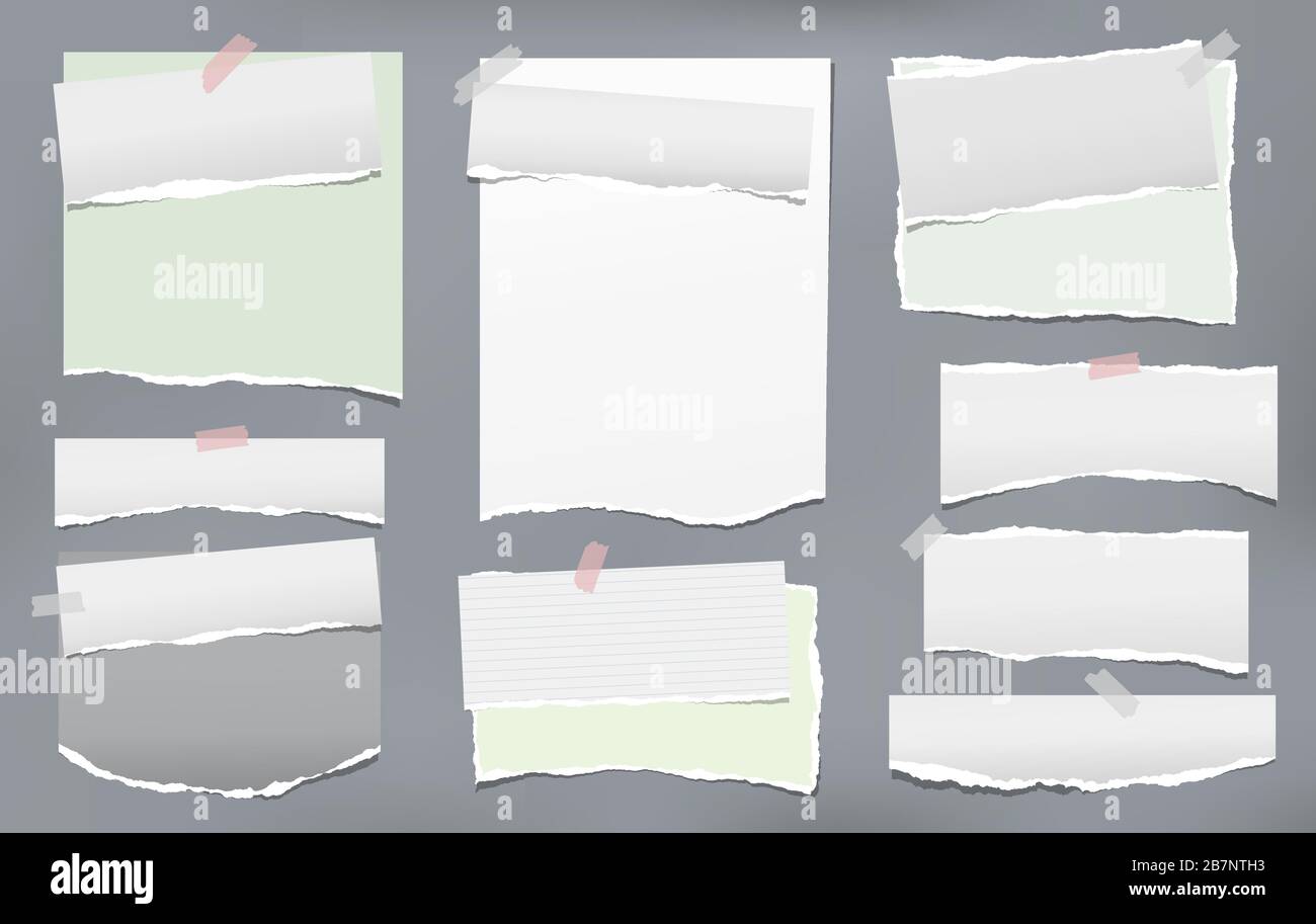 Torn of white and green note, notebook paper strips, pieces stuck on ...