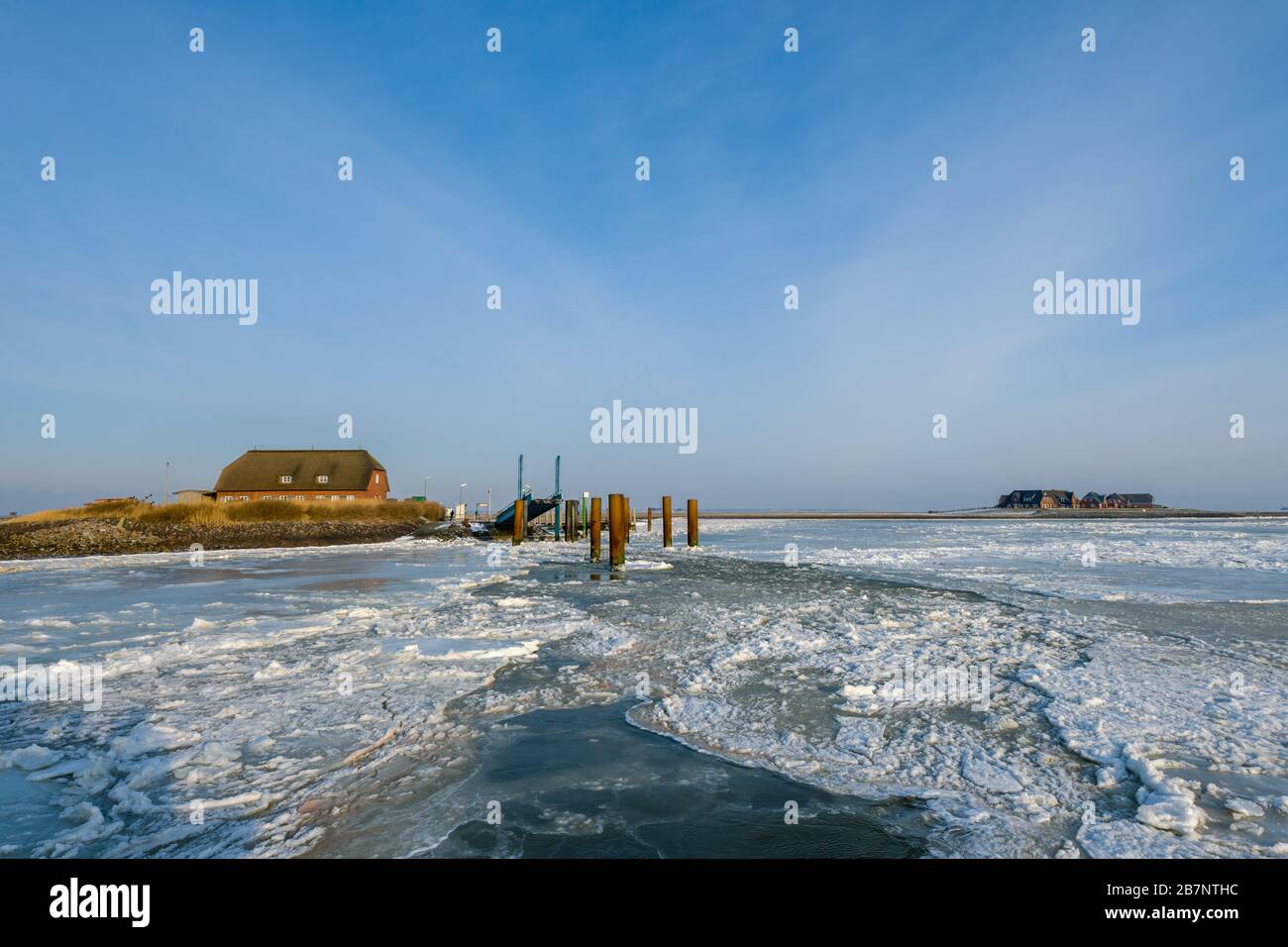 Isle of Hallig Langeness, North Sea, Unesco World Heritage, North ...