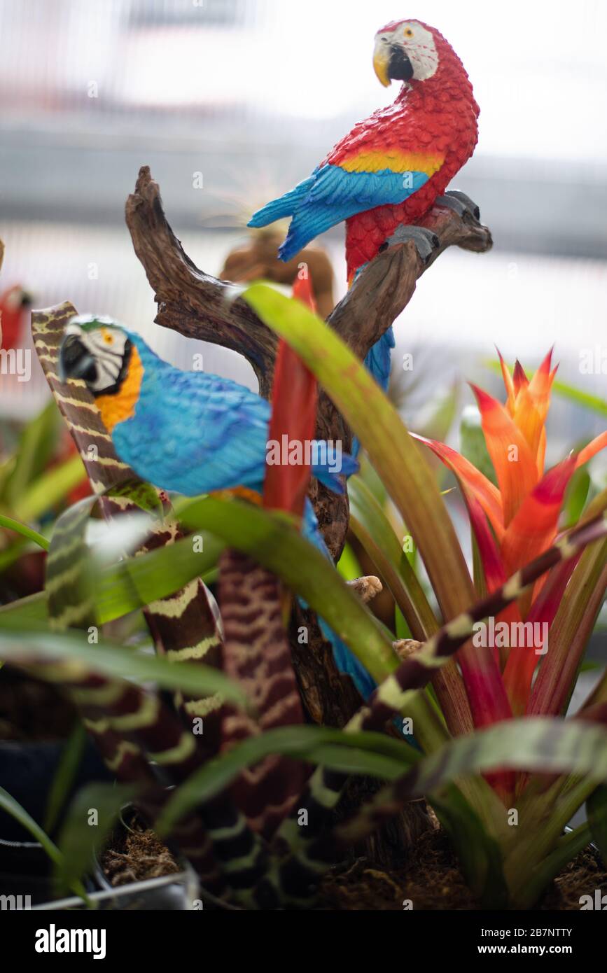 Birds in Planter Stock Photo - Alamy