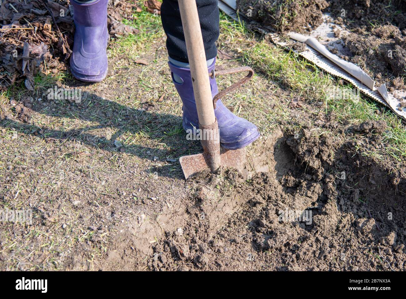 High angle shot of a person digging a soil using a shovel during ...