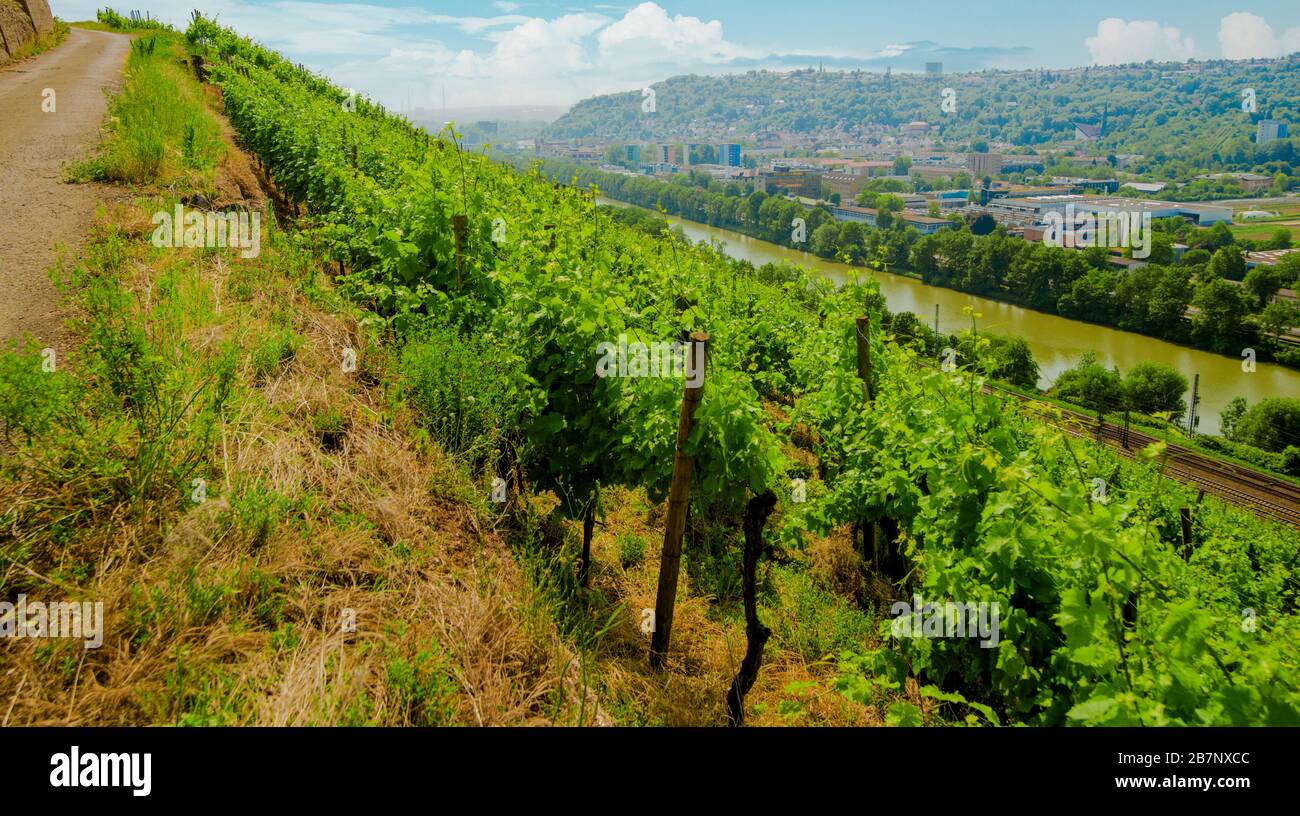 Top view chianti valley hi-res stock photography and images - Alamy