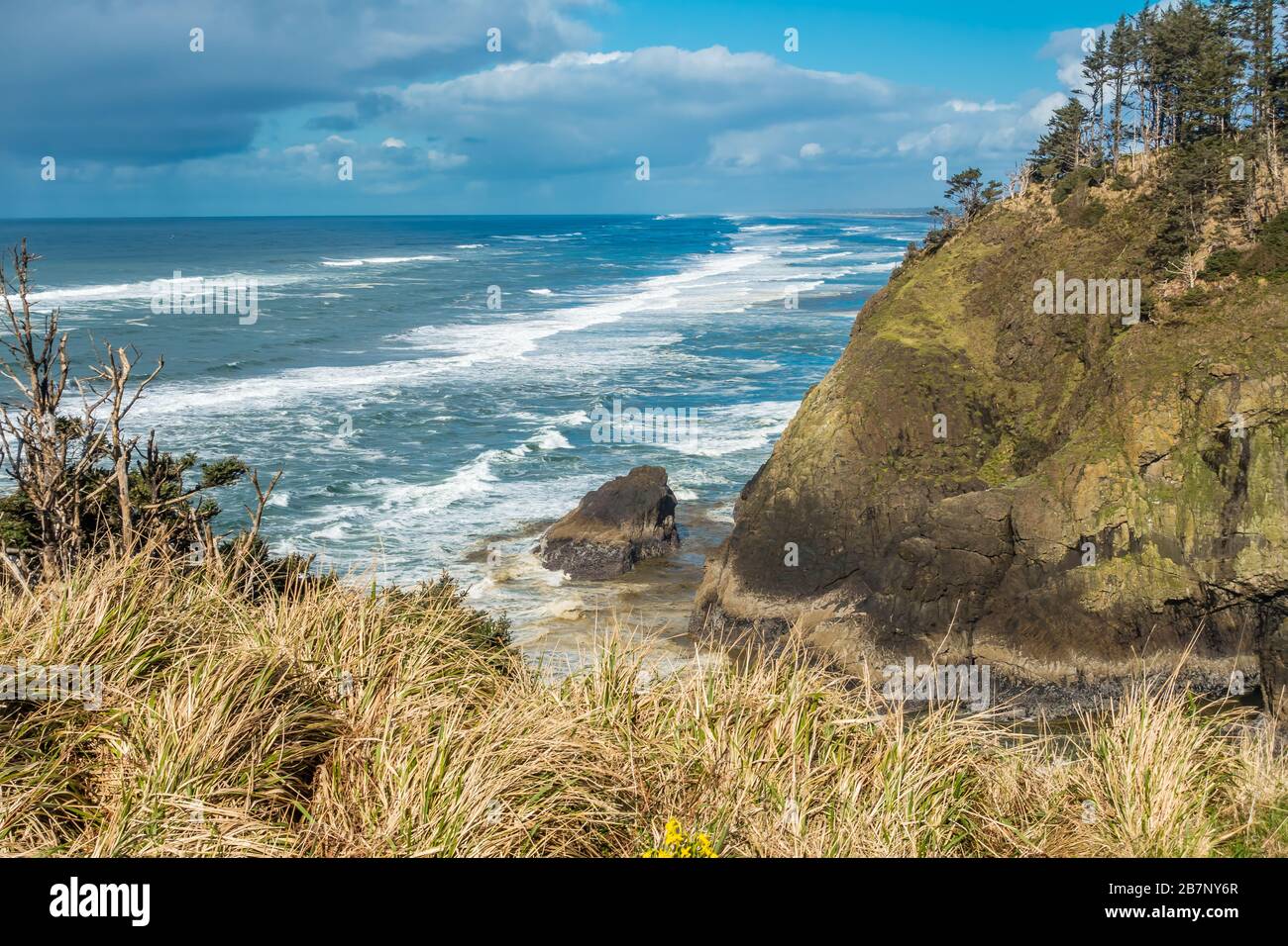 Washington state coast hi-res stock photography and images - Alamy