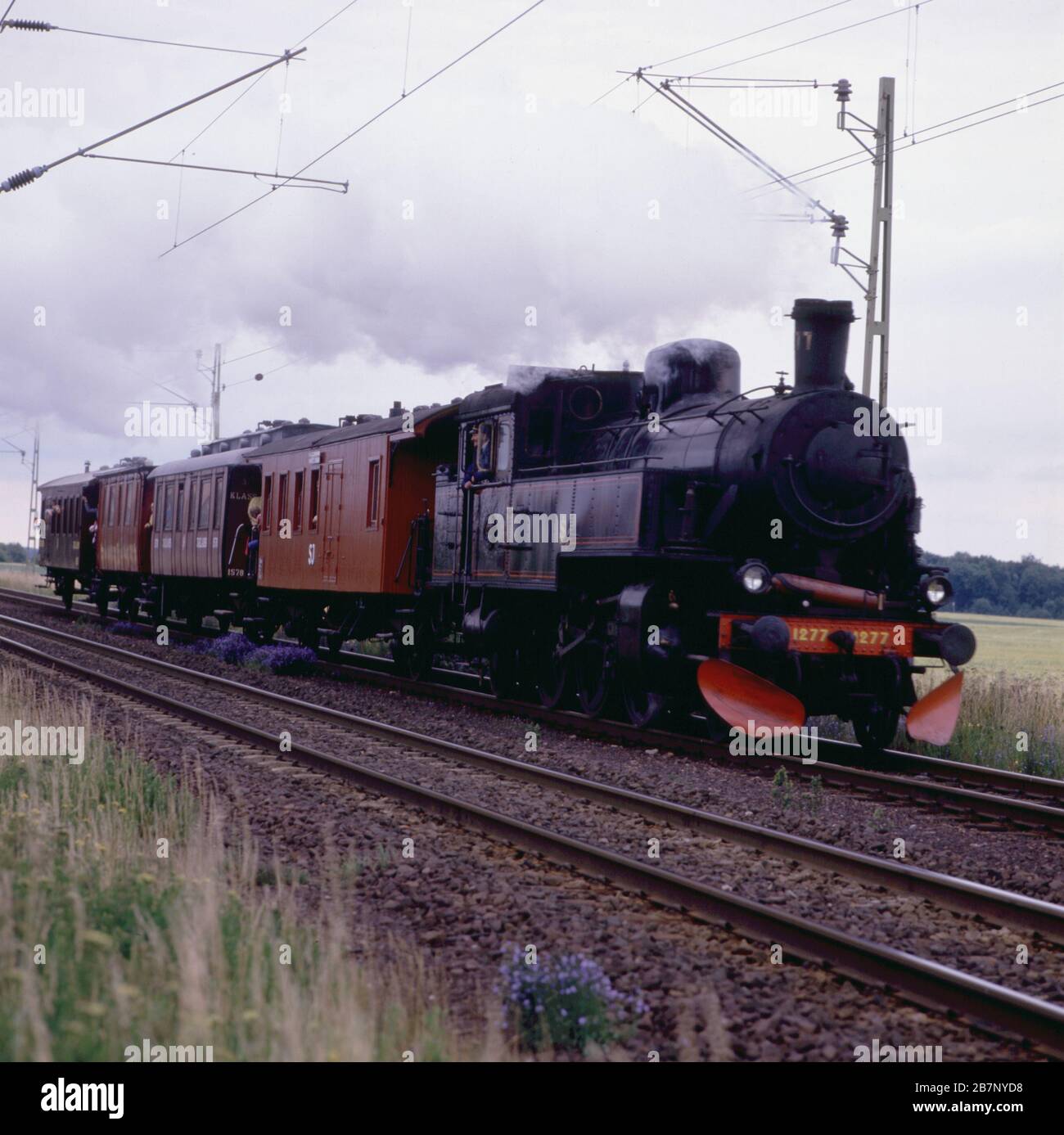 Steam locomotive 1277 and passenger cars, museum railway, Sweden, 1960s ...