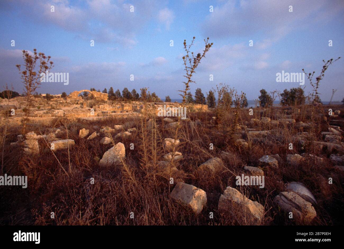 Paphos Archaelogical Park Cyprus Saranda Kolones Castle Ruins ...