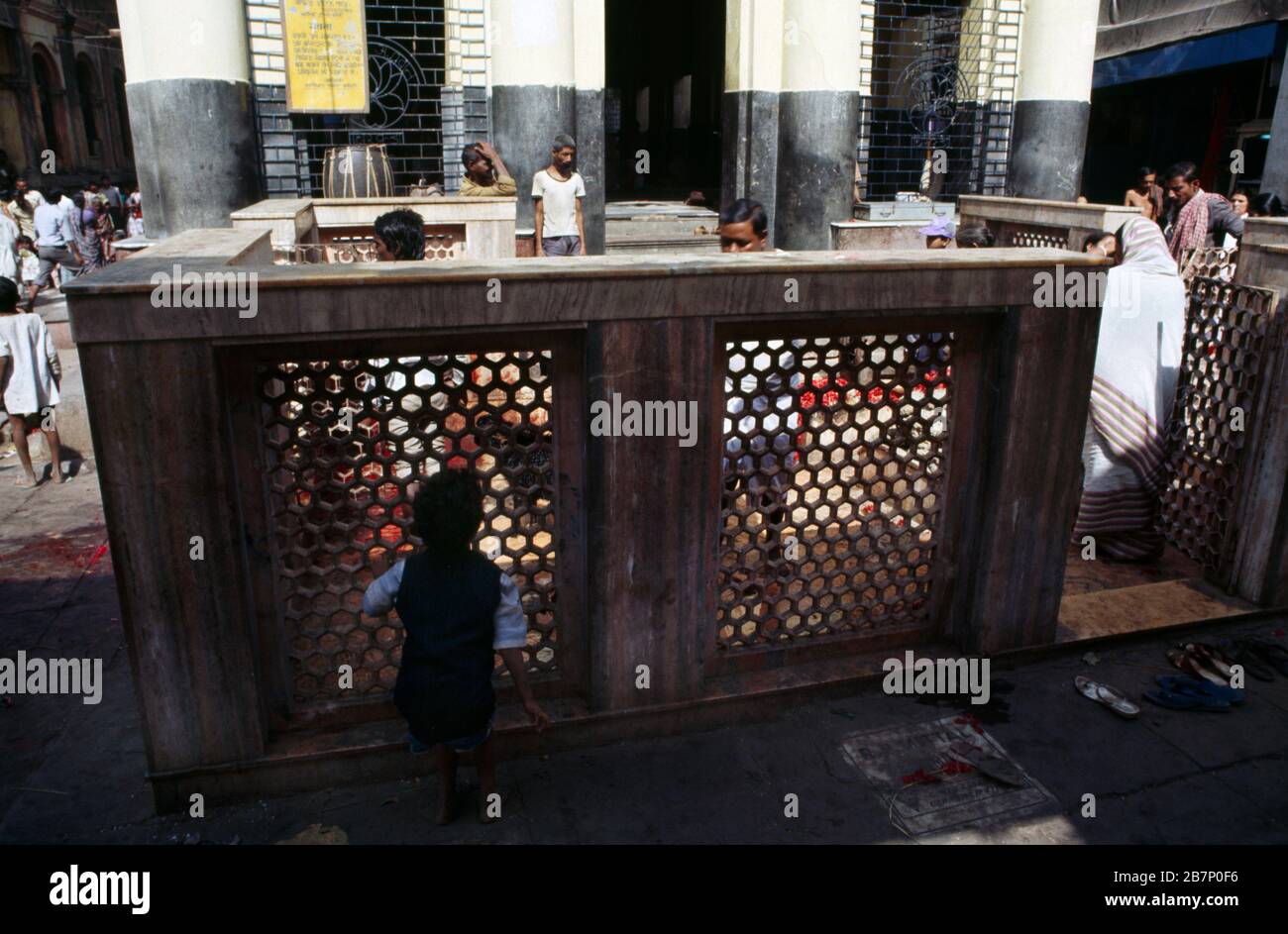 Calcutta India Kali Temple - Sacrifice Pit With Goat Stock Photo - Alamy