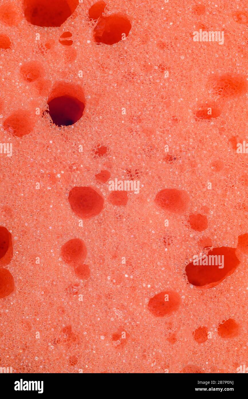 Artificial sponge structure hi-res stock photography and images - Alamy