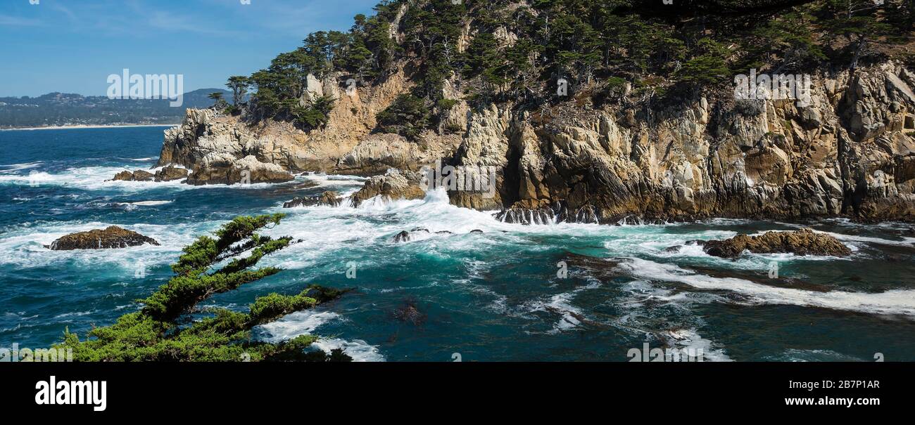 Beach with rocks and trees Stock Photo - Alamy