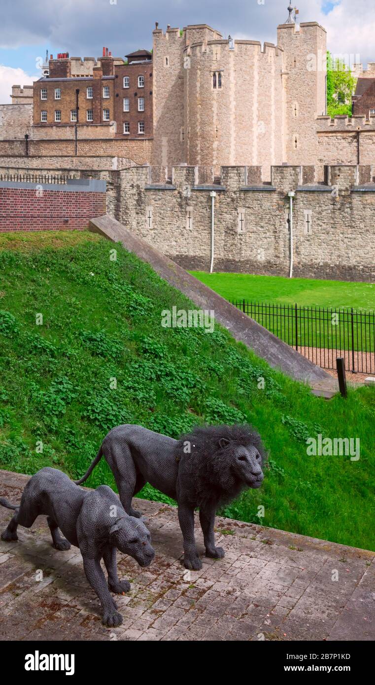 Tower of london lions hi-res stock photography and images - Alamy