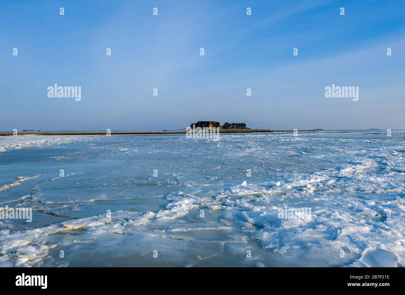Isle of Hallig Langeness, North Sea, Unesco World Heritage, North ...