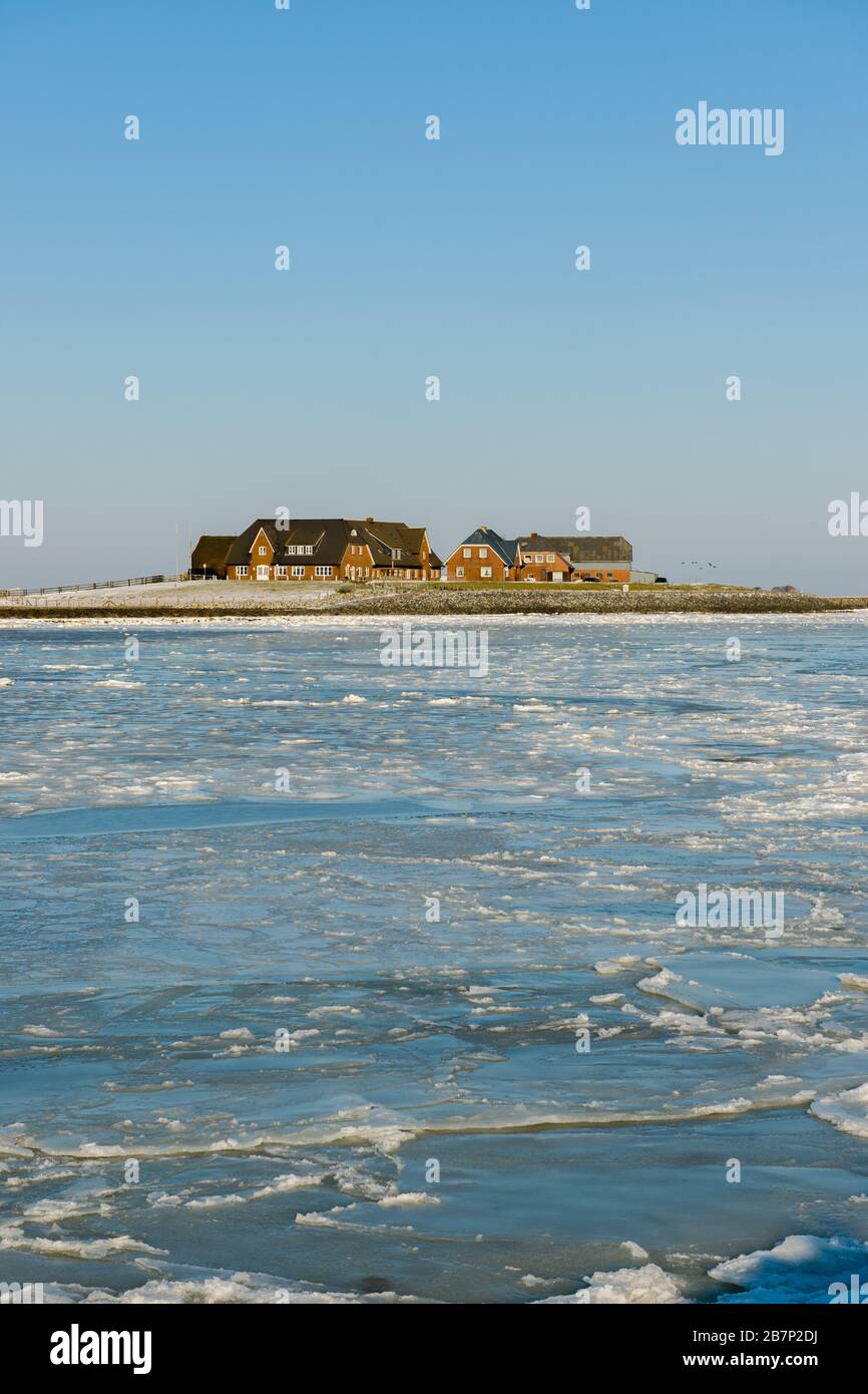 Isle of Hallig Langeness, North Sea, Unesco World Heritage, North ...