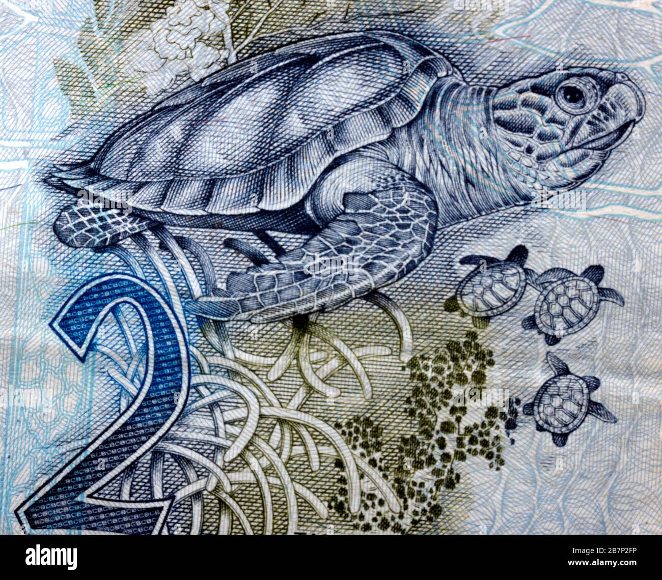 Brazilian Reias First Series (1994 - 2010) Close up of 2 Reias Banknote ...