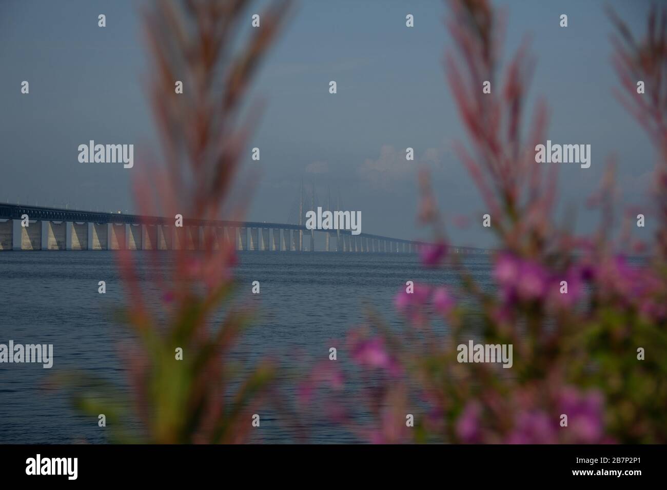 Copenhagen malmo train hi-res stock photography and images - Alamy