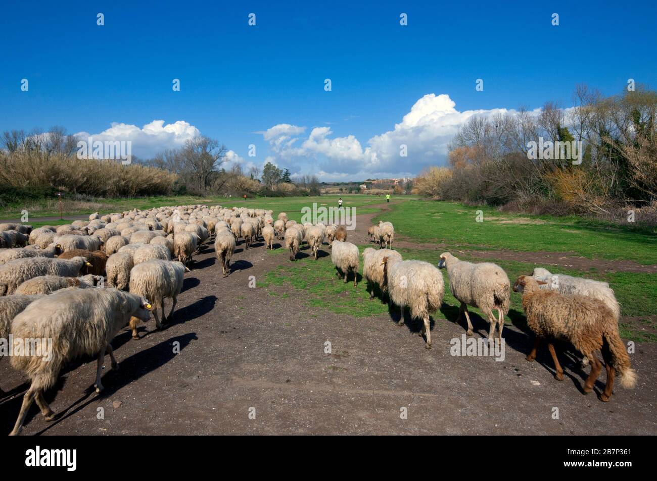 Rome caffarella park hi-res stock photography and images - Alamy