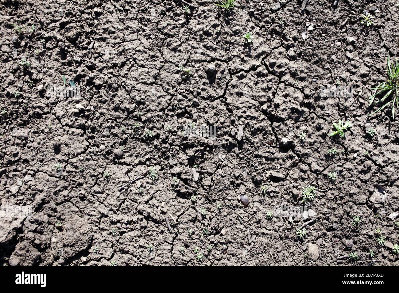 cracked dry earth background texture Stock Photo - Alamy