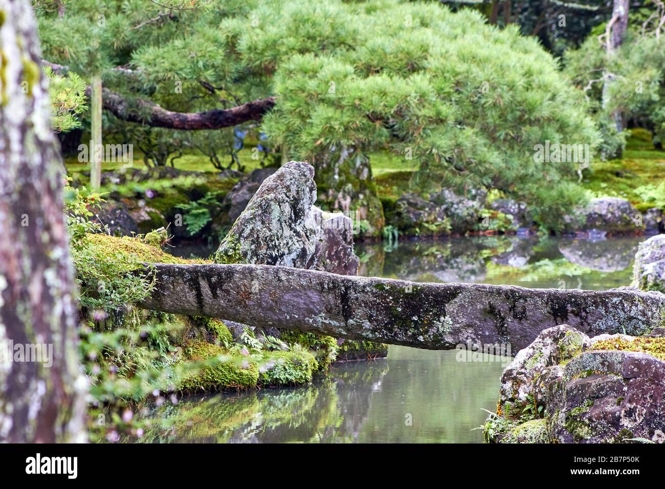 Stone bridge in Japanese garden Stock Photo - Alamy