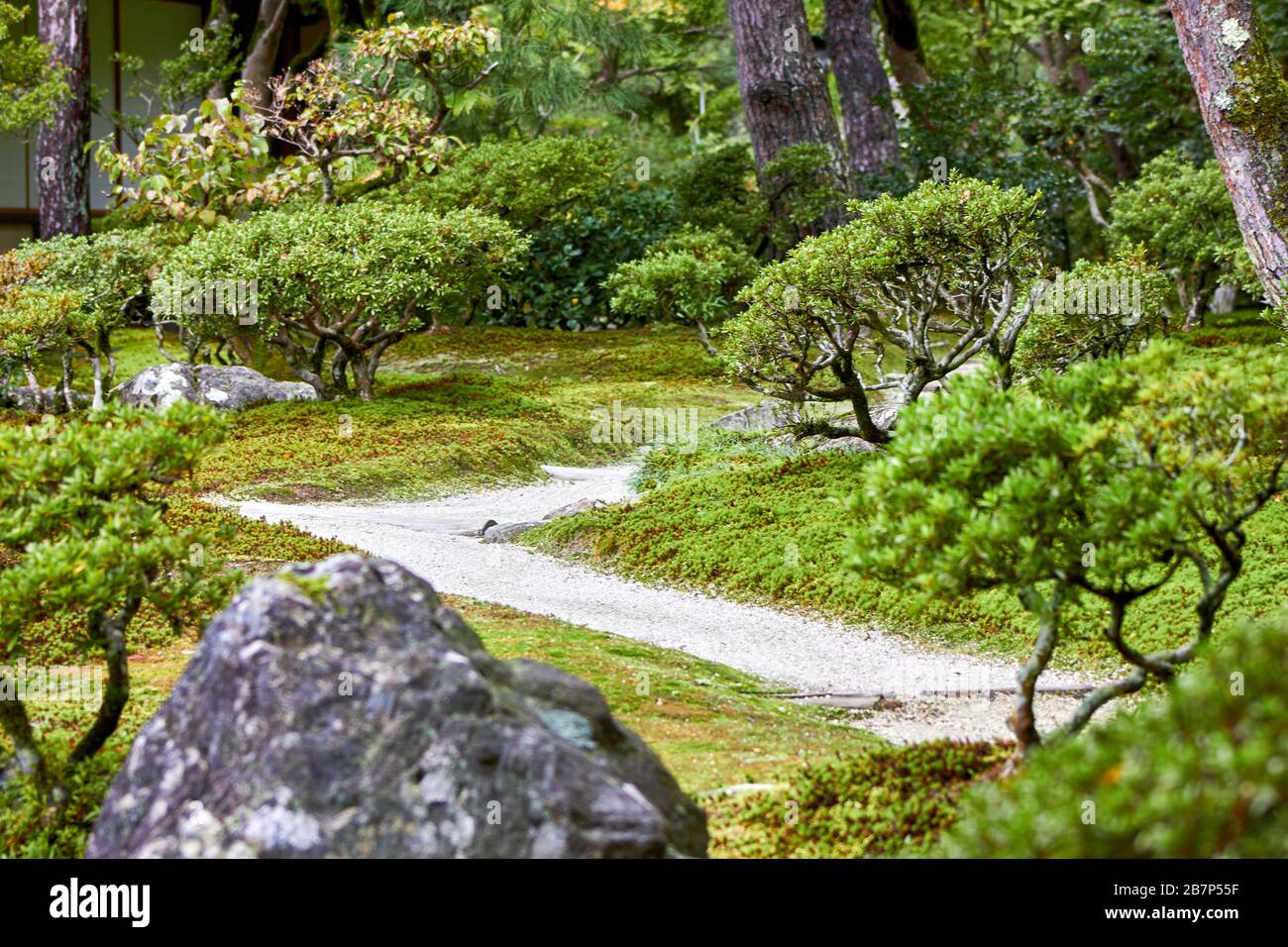 Curved path in Japanese style garden Stock Photo - Alamy