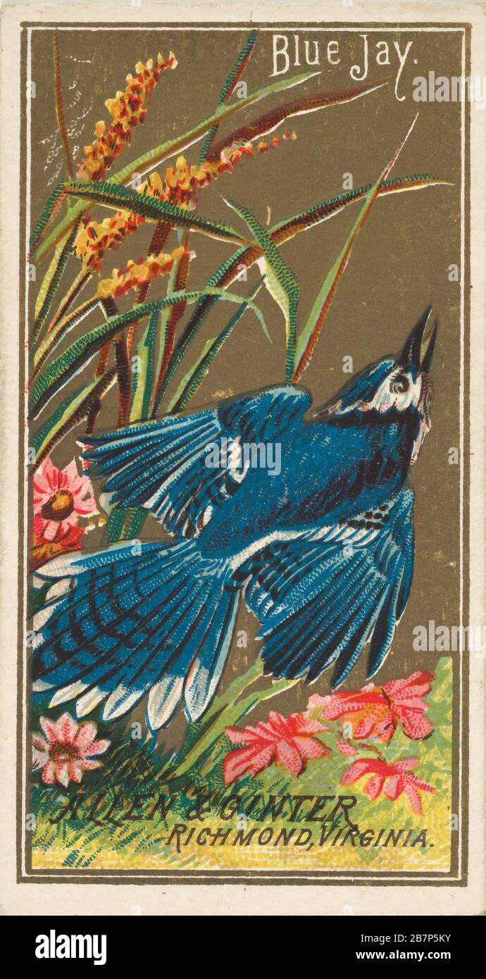 Jay allen hi-res stock photography and images - Alamy