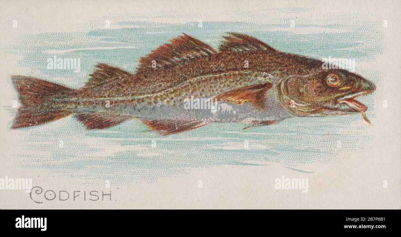 American waters series hi-res stock photography and images - Alamy