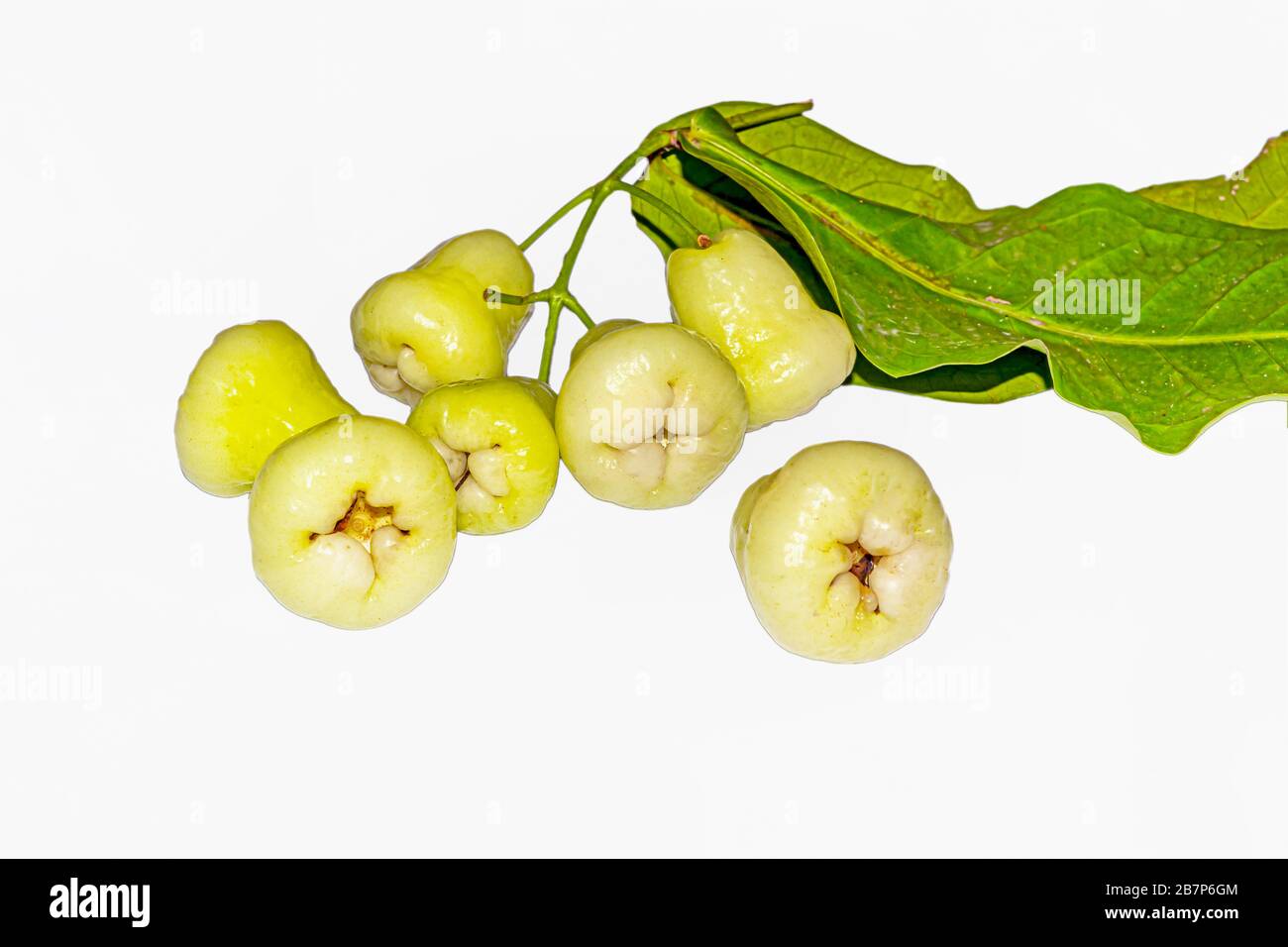 Tambis High Resolution Stock Photography and Images - Alamy