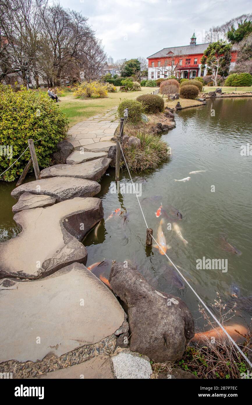 Stone path and pond with carps KOI in Koishikawa botanical garden Stock ...