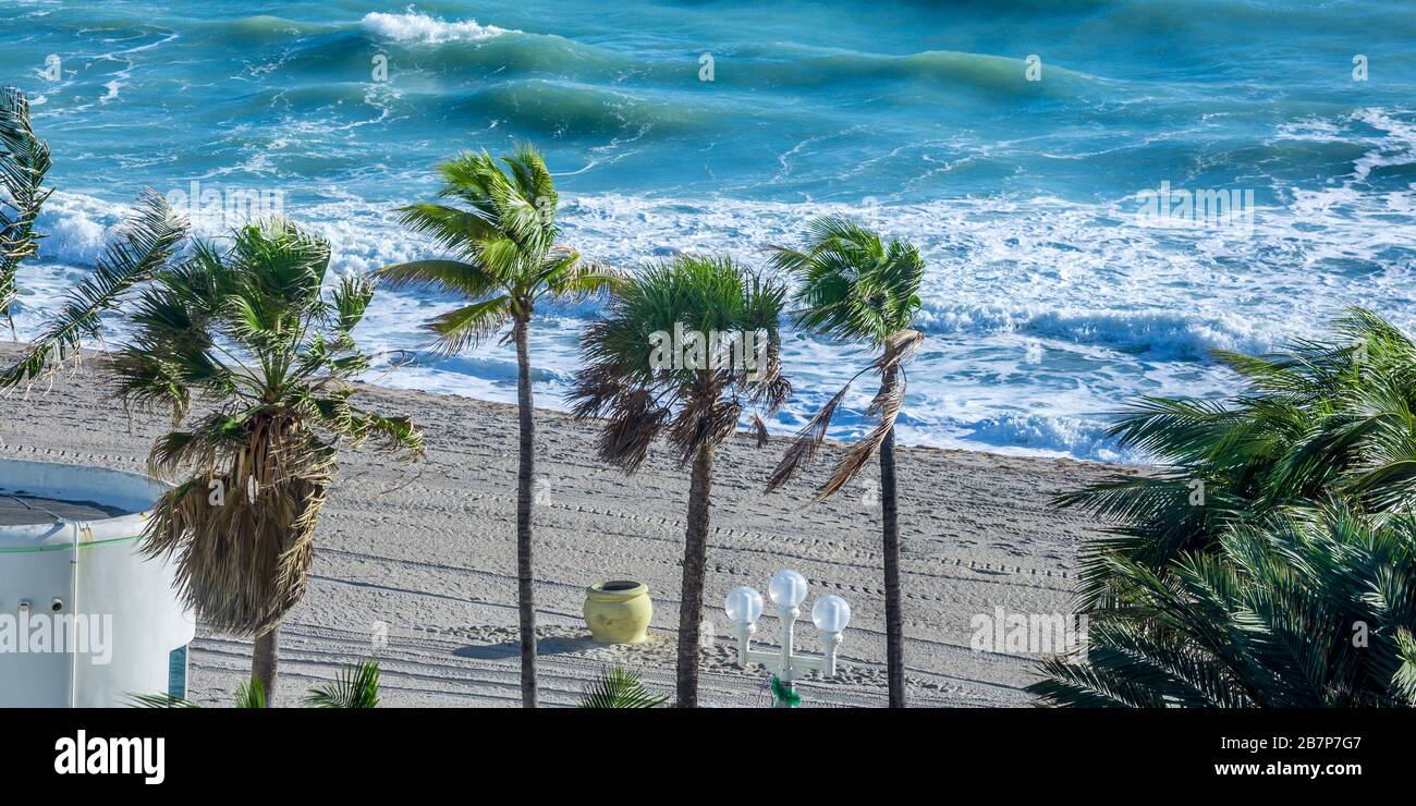A view of Florida sandy beach from above Stock Photo - Alamy