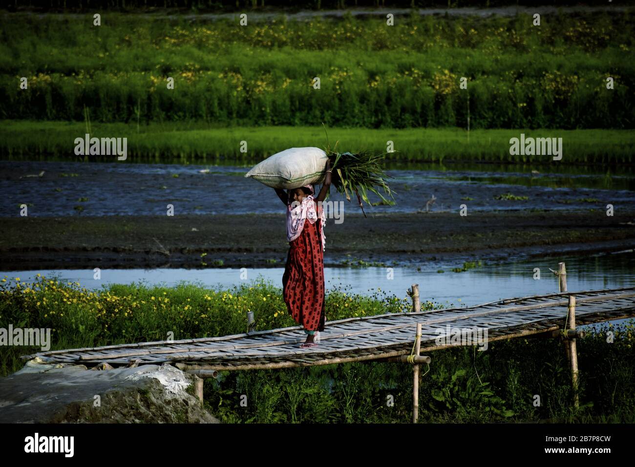 Assamese culture hi-res stock photography and images - Alamy