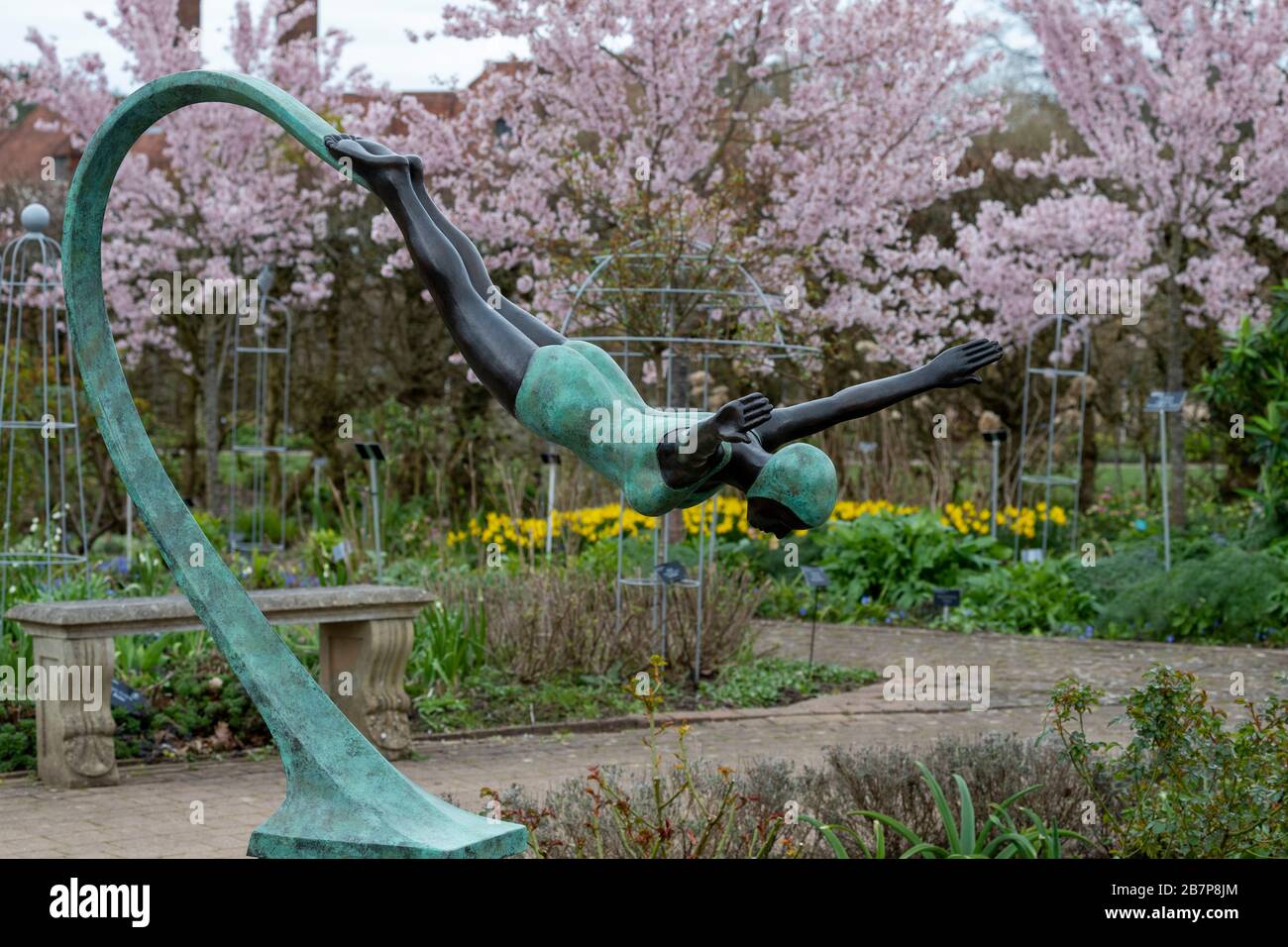 Female swan dive hi-res stock photography and images - Alamy