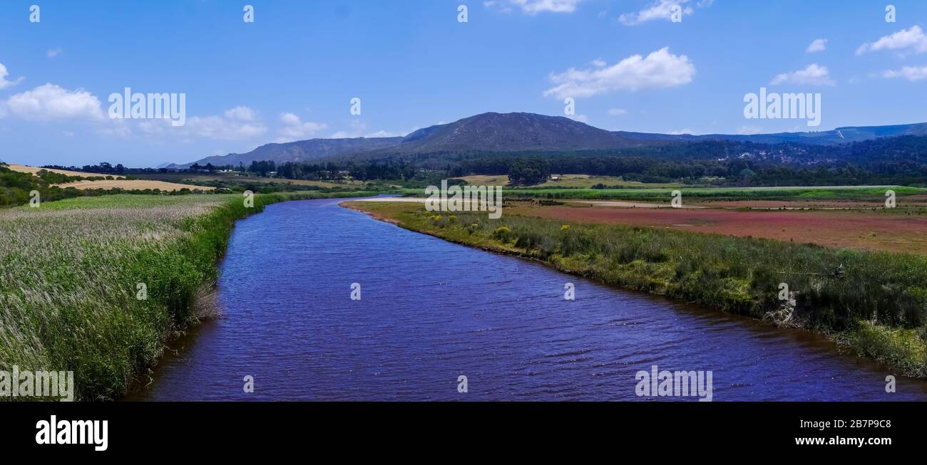 A river runs through a field of fynbos plants near Hermanus Stock Photo ...