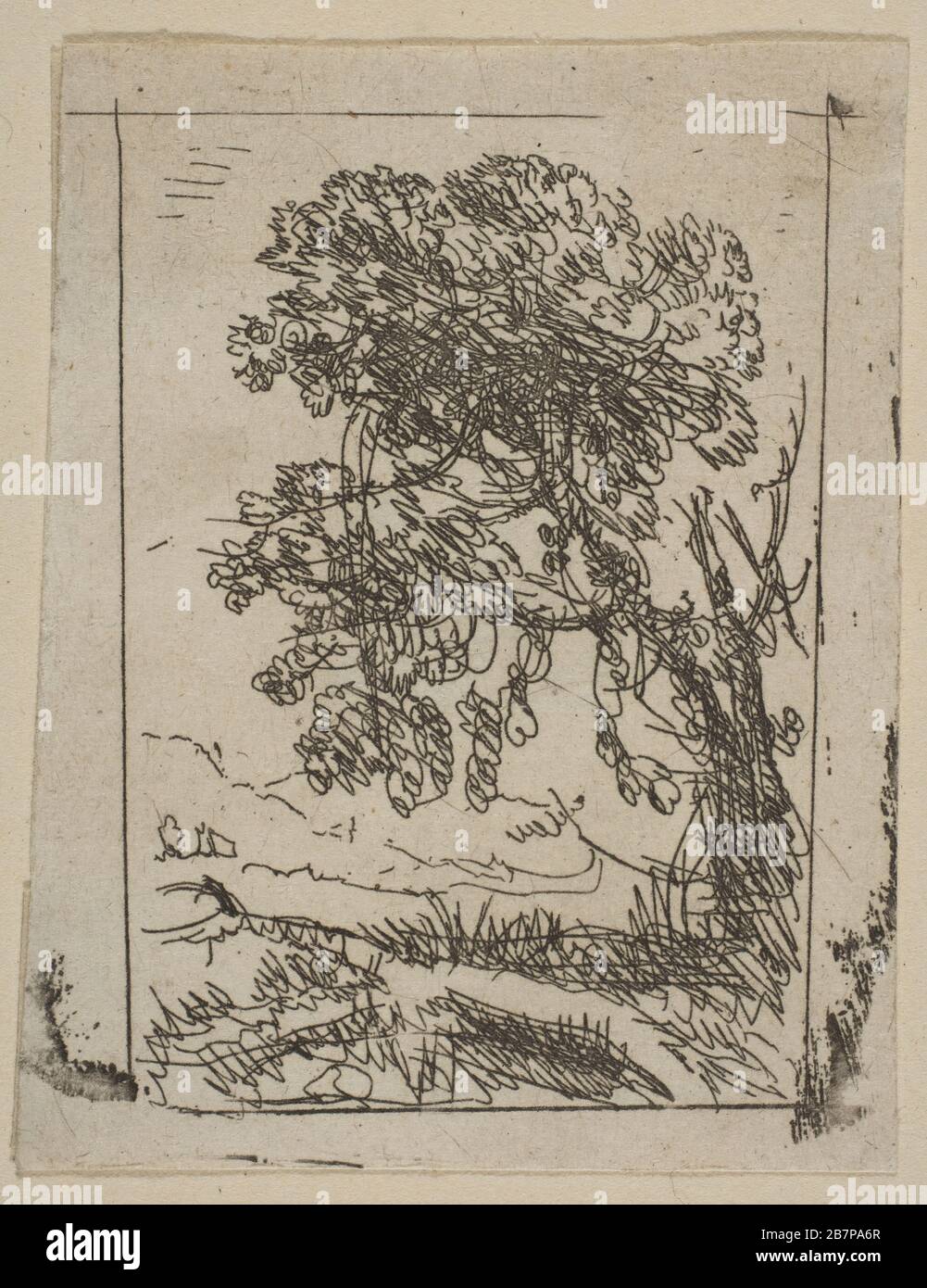 Left tree hi-res stock photography and images - Alamy