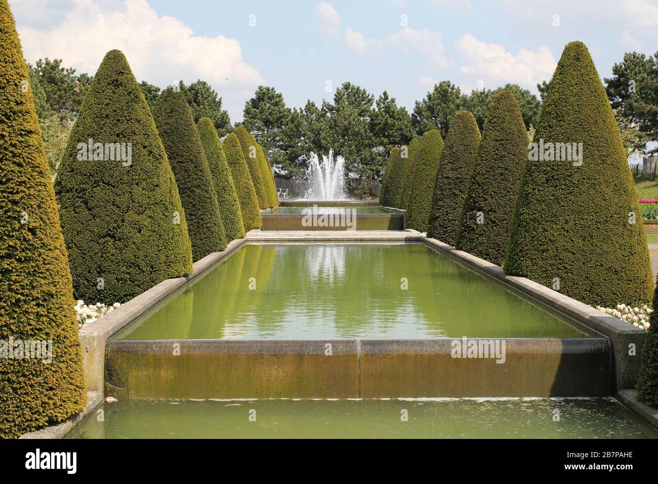 a long pond with a fountain in the background and conical trees along ...