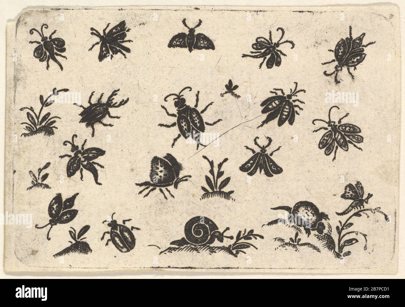 Small Motifs of Insects and Plants, 1596 Stock Photo - Alamy