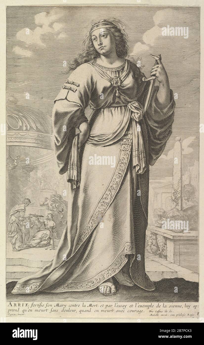 Arria major hi-res stock photography and images - Alamy