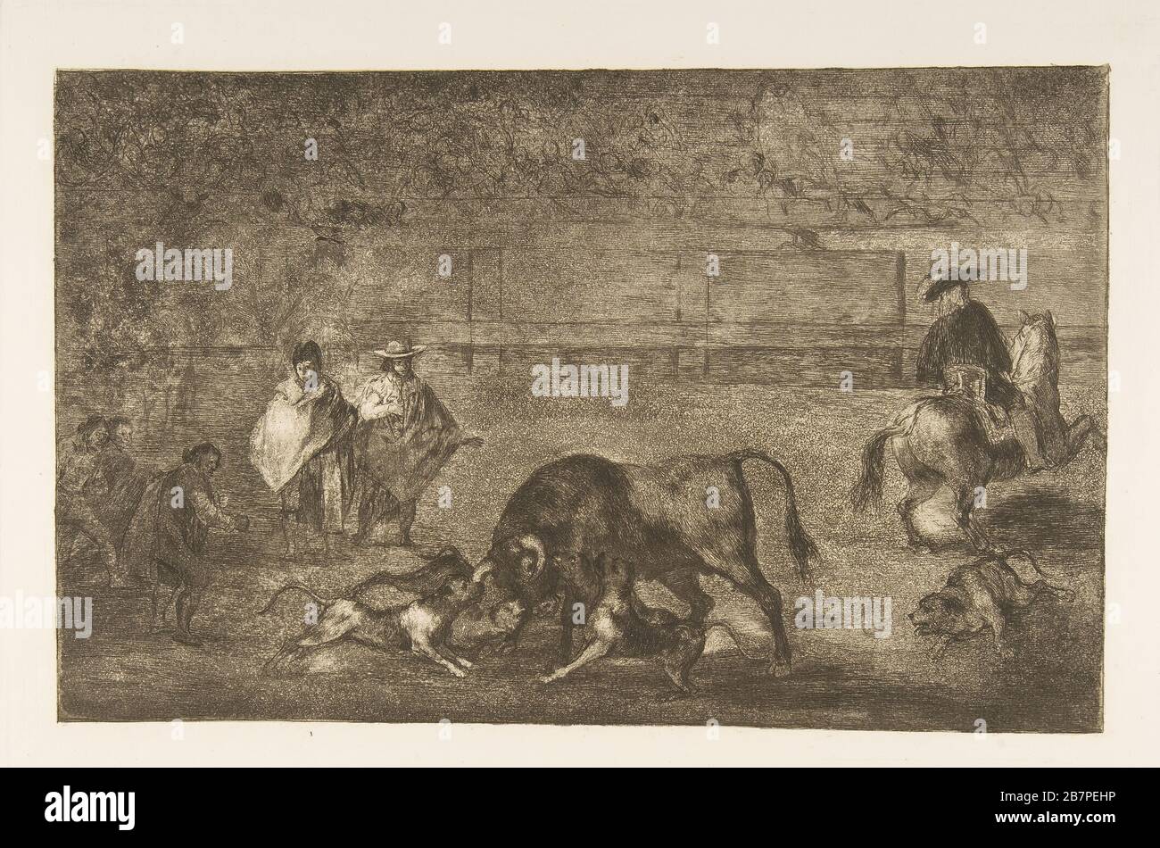 Bull baiting hi-res stock photography and images - Alamy