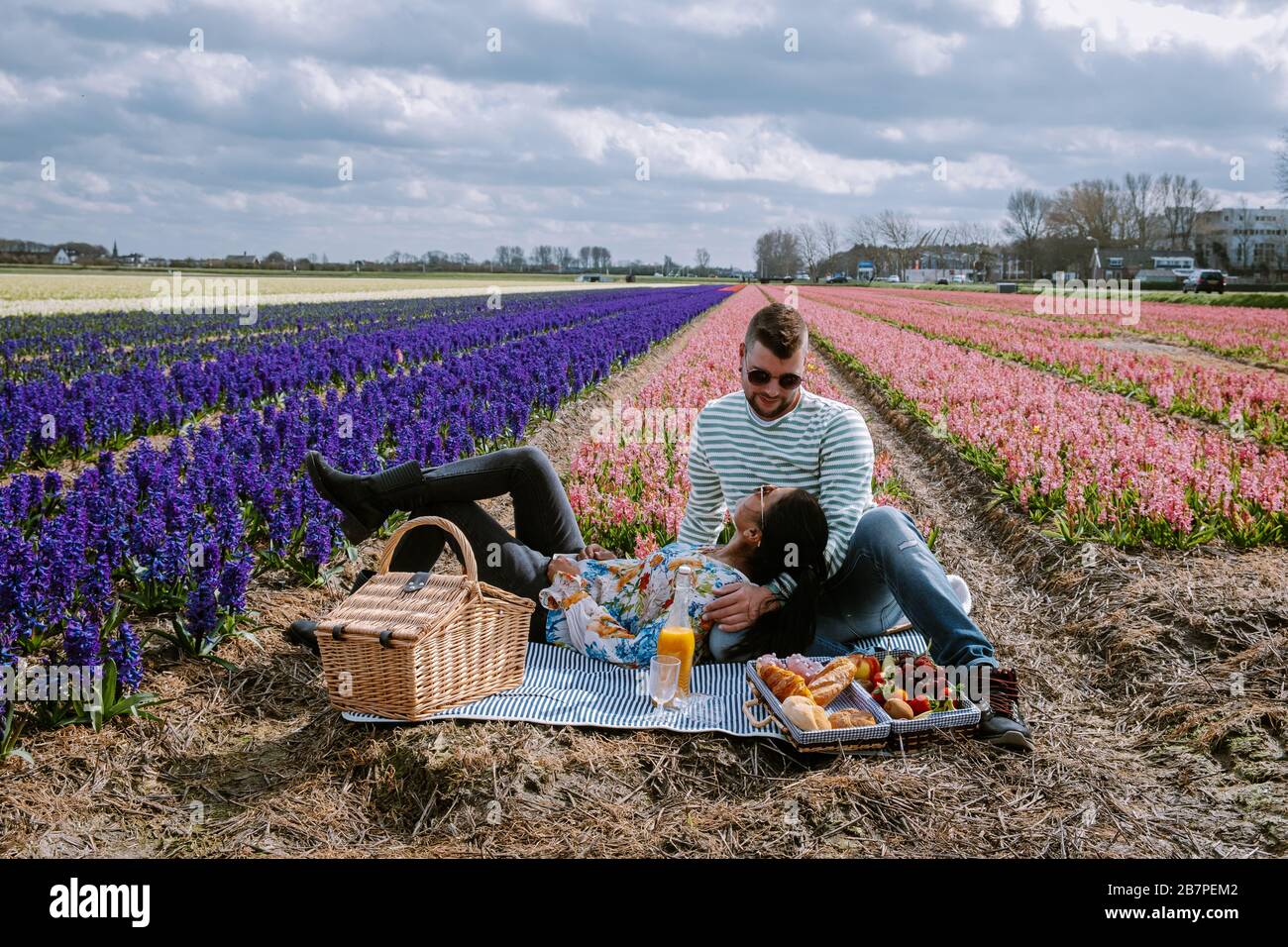Spring flower season in the Netherlands, couple having a picnic during ...