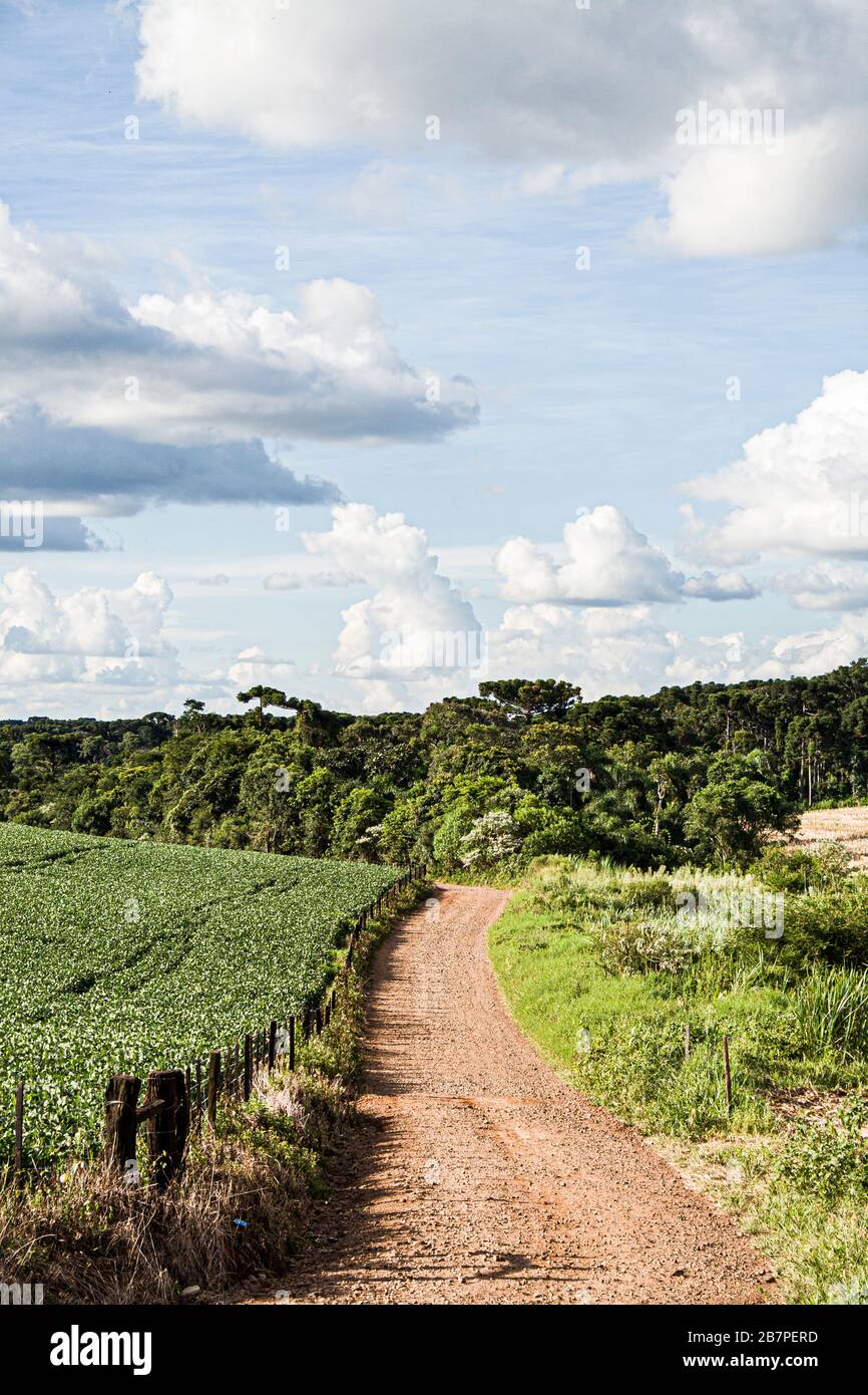 Rural road in brazilian countryside hi-res stock photography and images ...