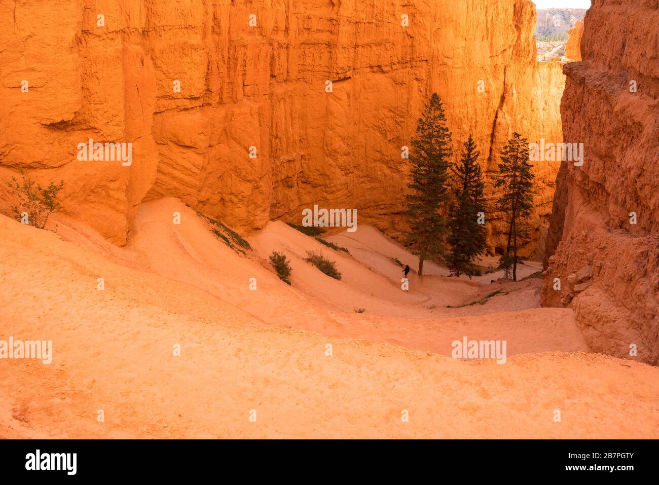 Navajo loop trail of Bryce canyon Stock Photo - Alamy