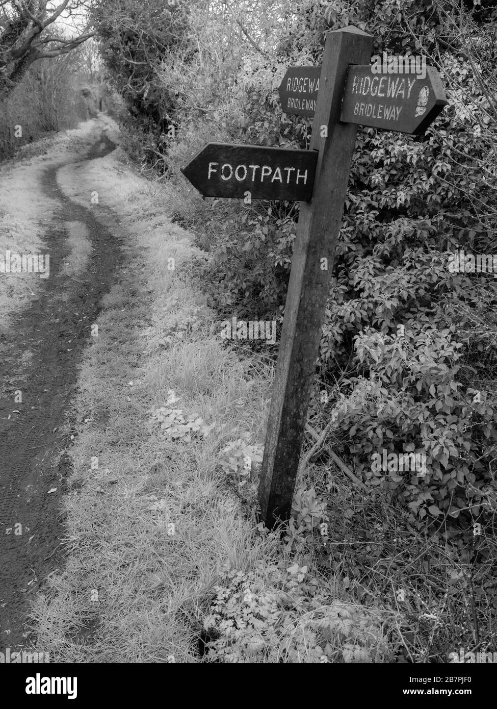 Black and White Landscape, Footpath Sign, Mongewell, Ridgeway National ...