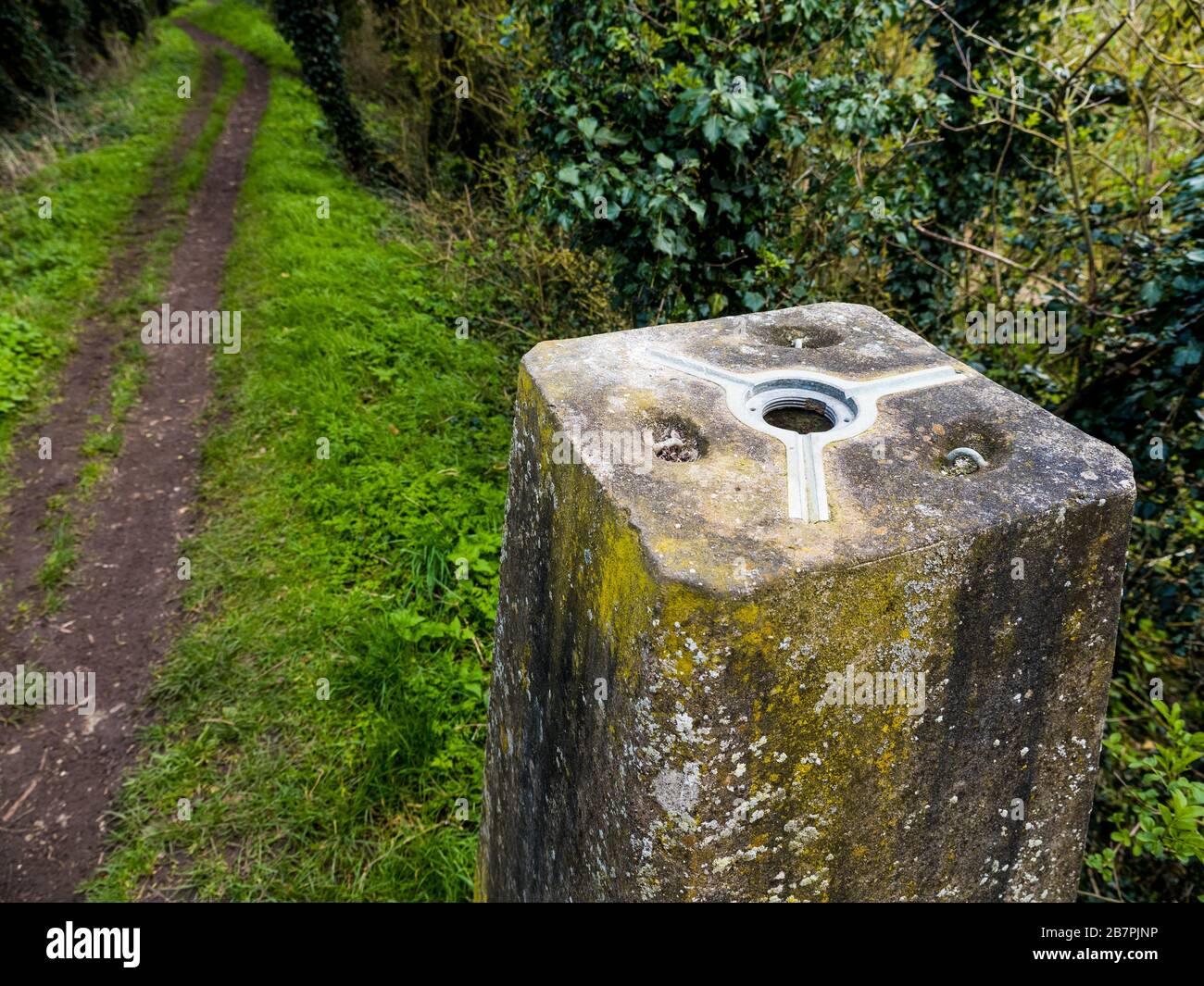 Mystic and Ancient Grim,s Ditch, 7000 year old path and earthworks ...