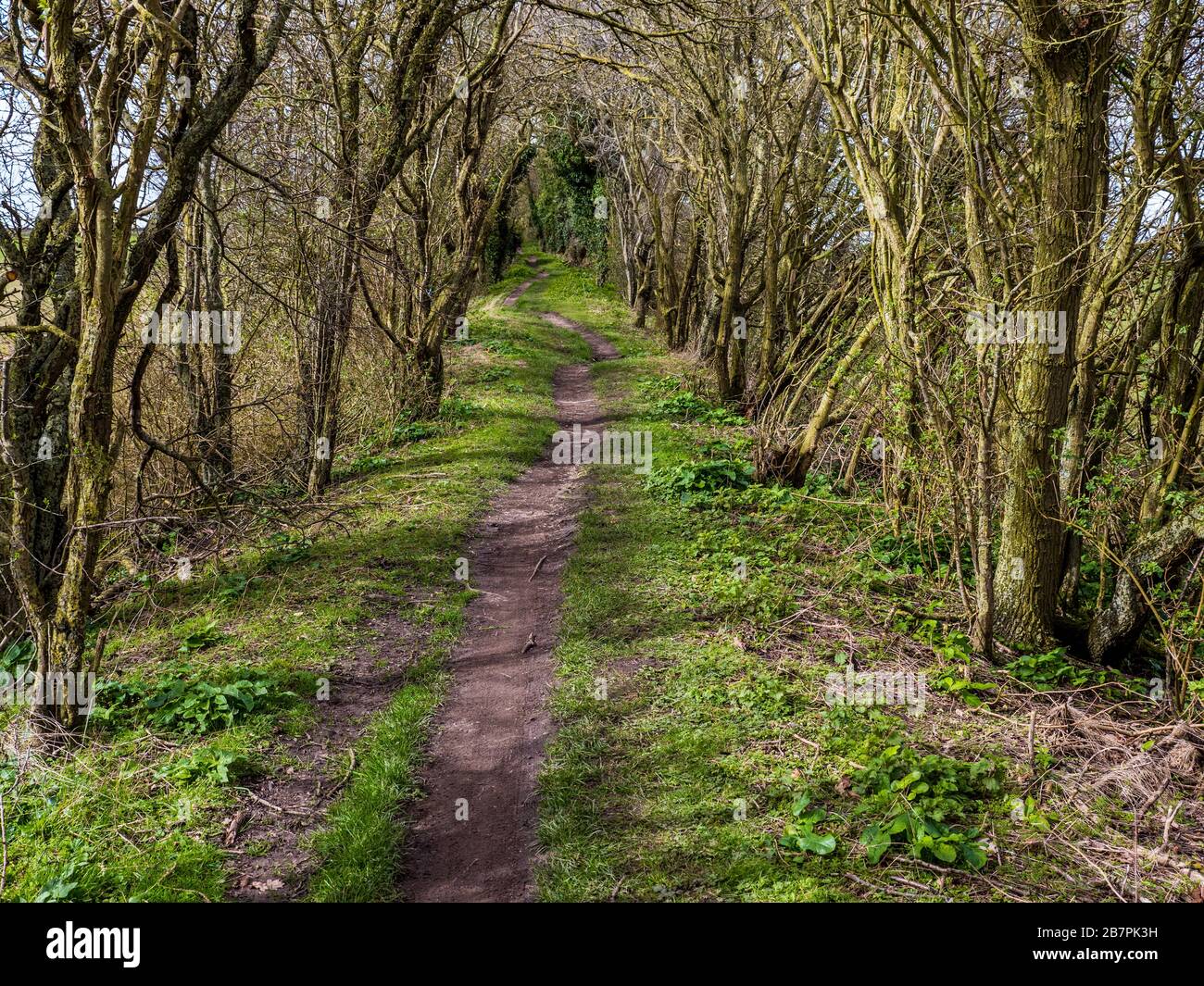 Ancient trackway historic roads hi-res stock photography and images - Alamy