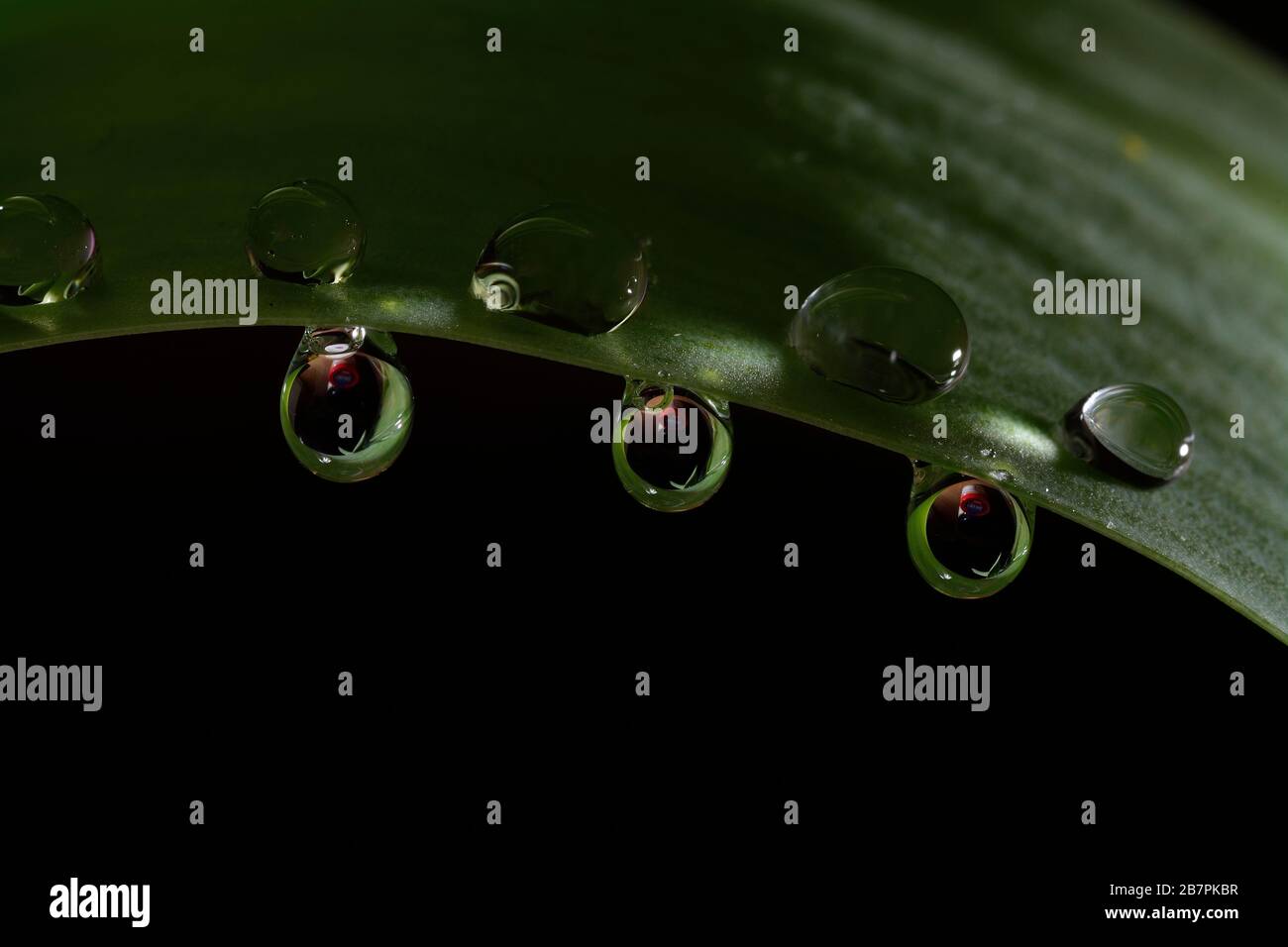 Reflection on the water droples macro photo Stock Photo - Alamy