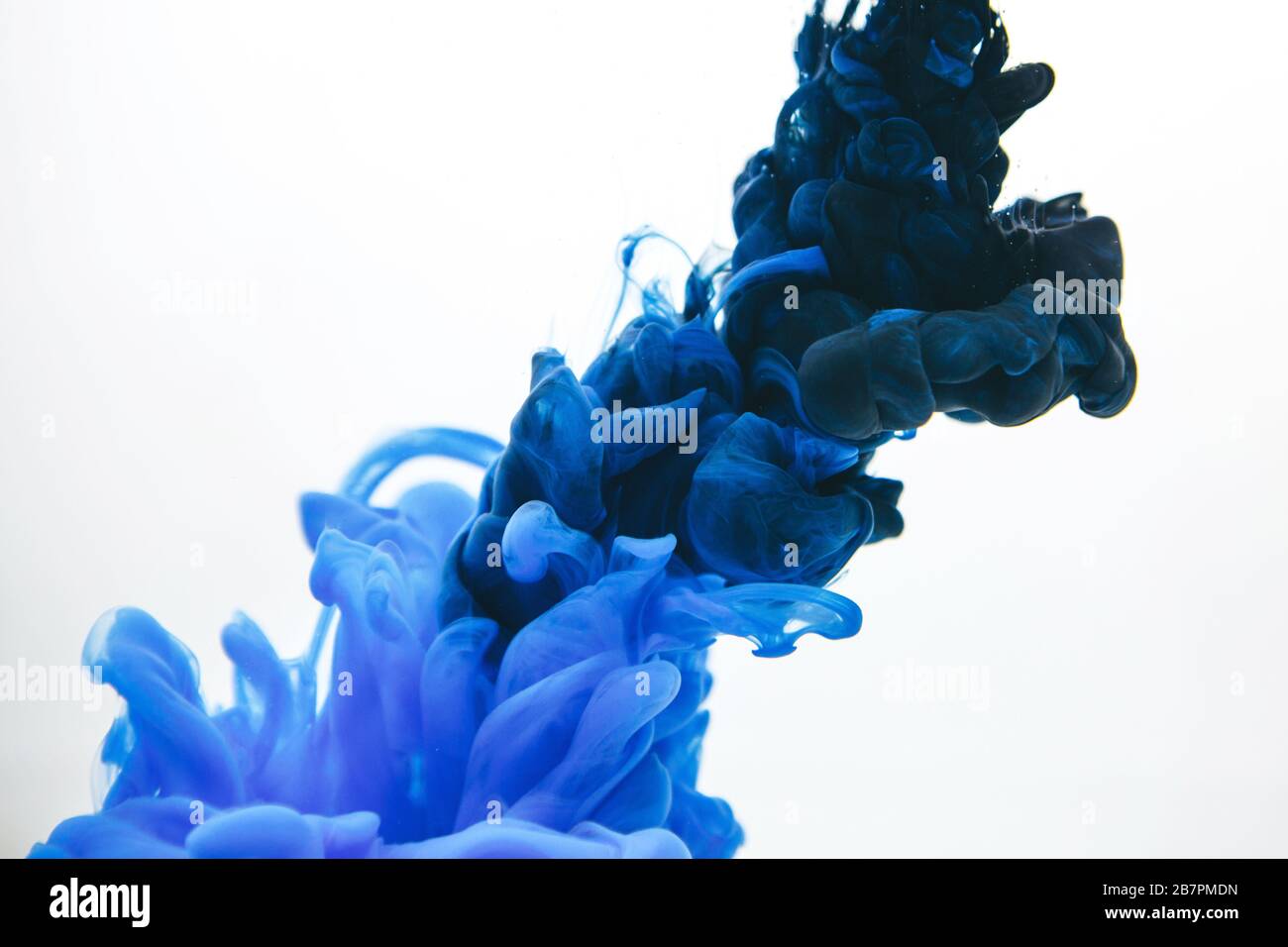 Mix of black and classic blue ink in water isolated on white background ...