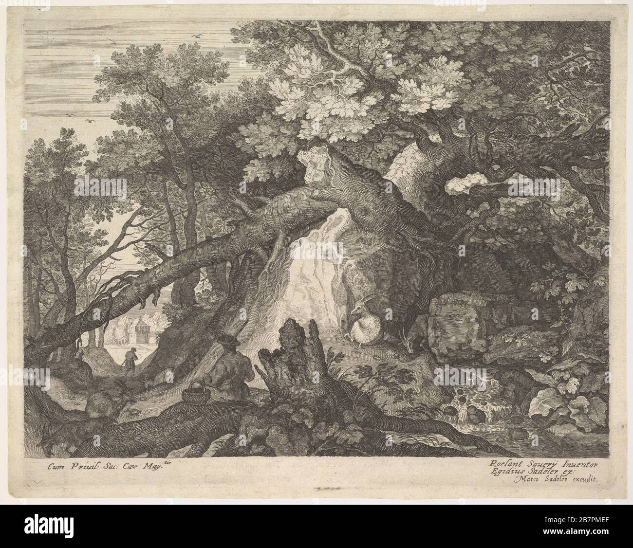 Flemish Goat High Resolution Stock Photography and Images - Alamy