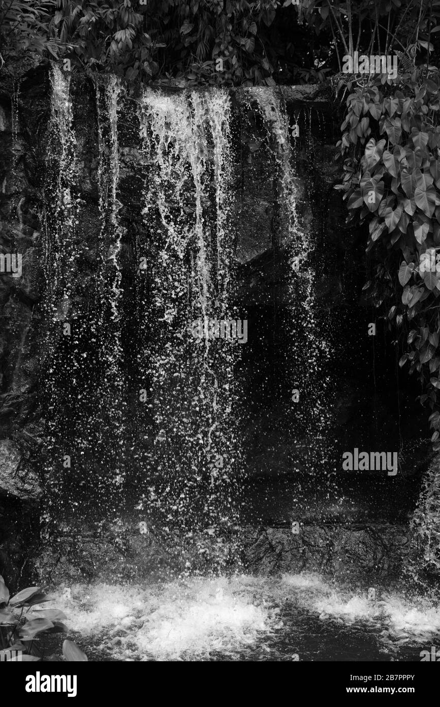 Water fall seen in the Singapore Botanic Gardens Stock Photo - Alamy